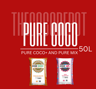 The Coco Depot - Home of premium coco products