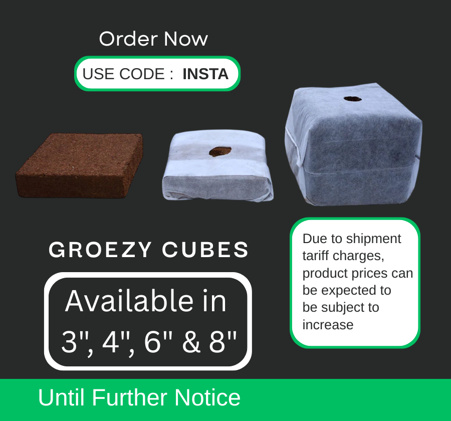 The Coco Depot - Home of premium coco products