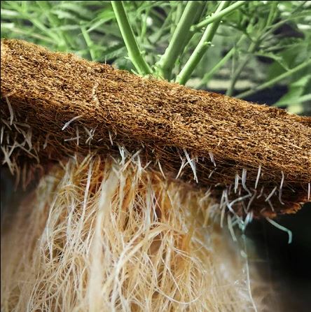 GroMat 8"x8"x1" coco grow mat – The Coco Depot