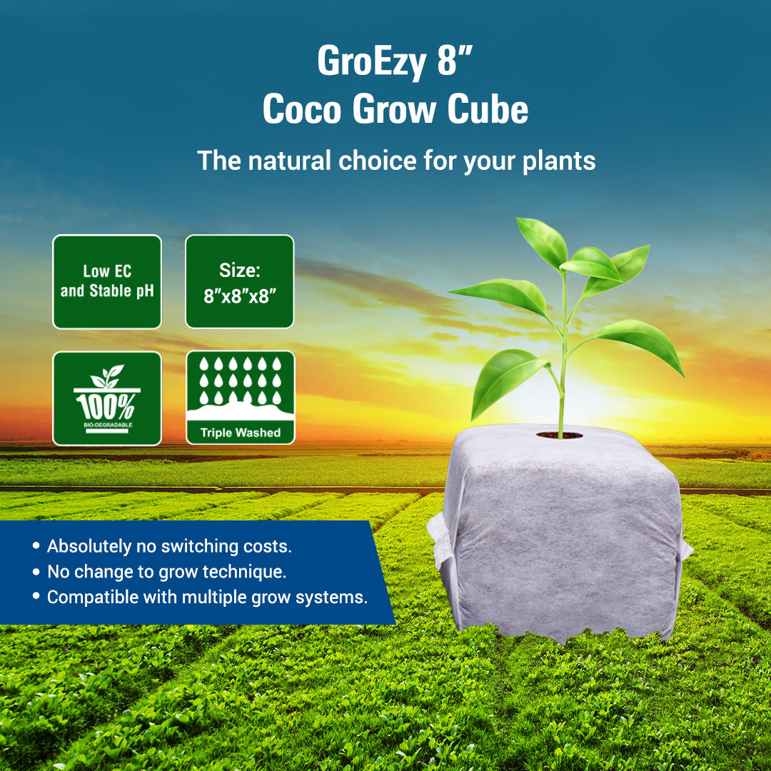 GroEzy™ 8" Coco Grow Cube – The Coco Depot