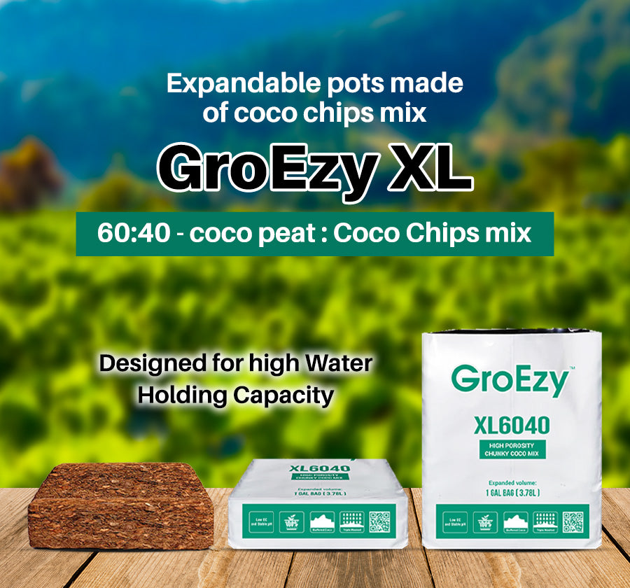 The Coco Depot - Home of premium coco products