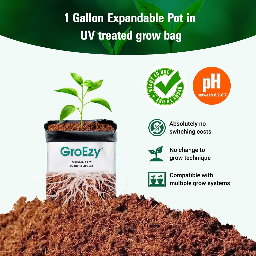 GroEzy™ 1 Gallon Expandable Pot in UV treated grow bag – The Coco Depot