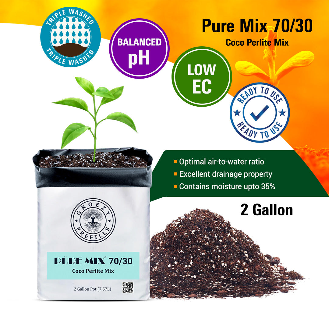 GroEzy™ 2 Gallon Prefilled 70/30 Coco Perlite Grow Bag – The Coco Depot