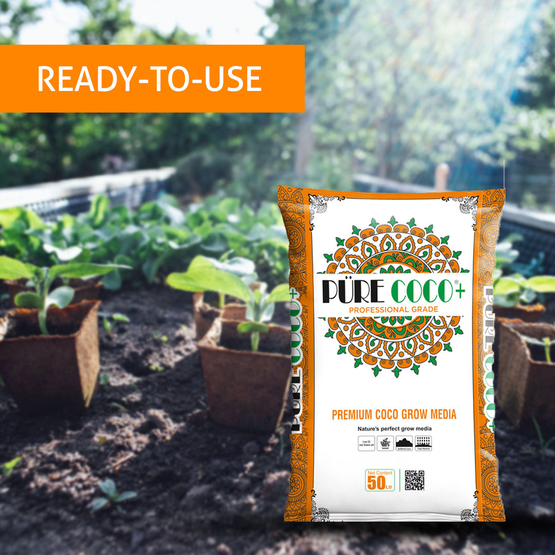 Pure Coco® Plus 50L Buffered Coco coir – The Coco Depot