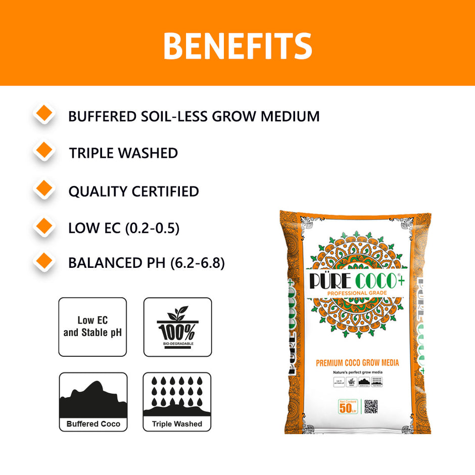 The Coco Depot - Home of premium coco products