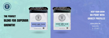 The Coco Depot - Home of premium coco products