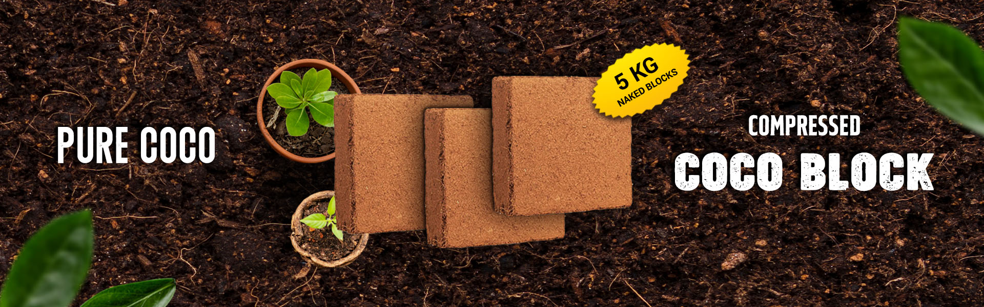 The Coco Depot - Home of premium coco products