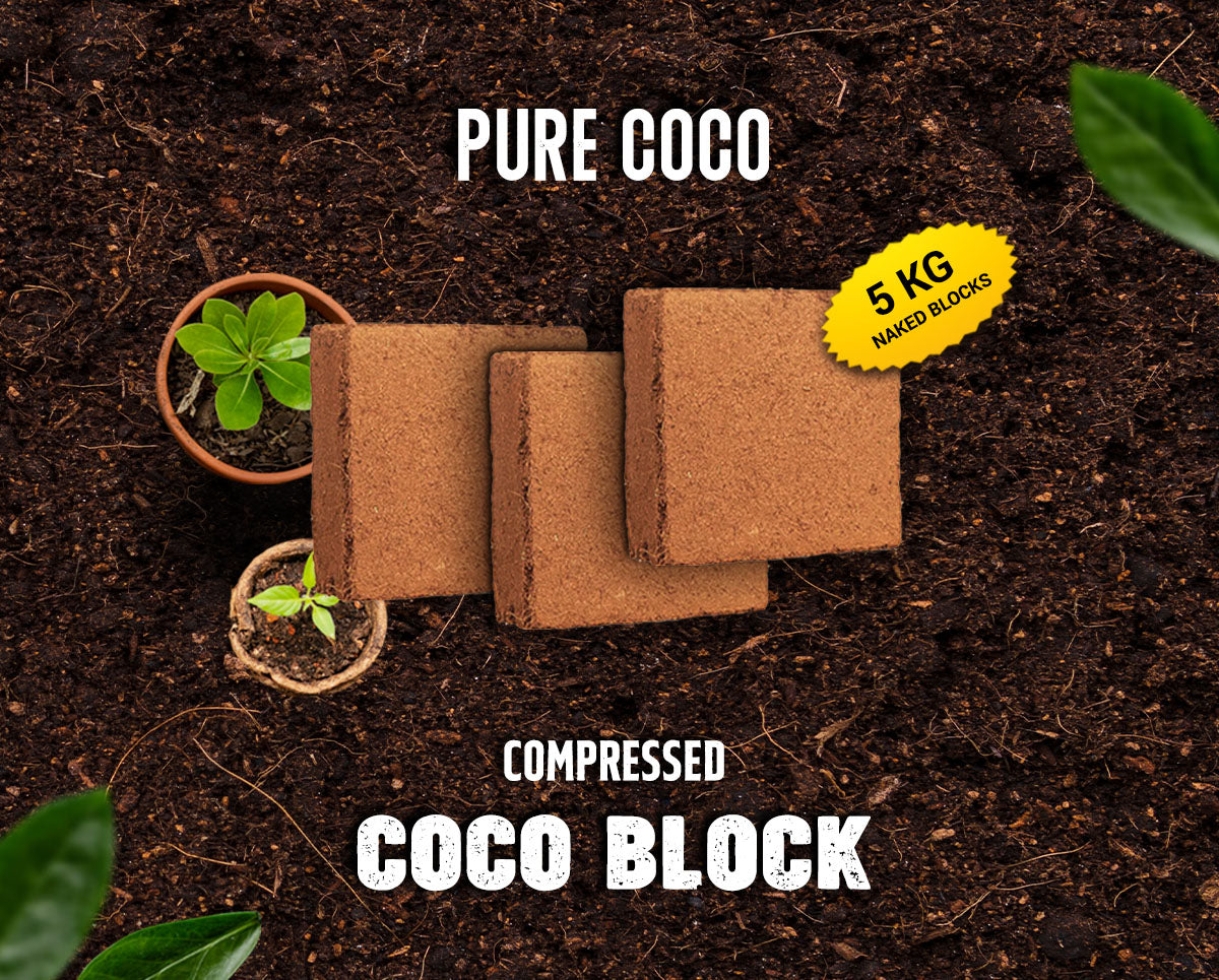 The Coco Depot - Home of premium coco products