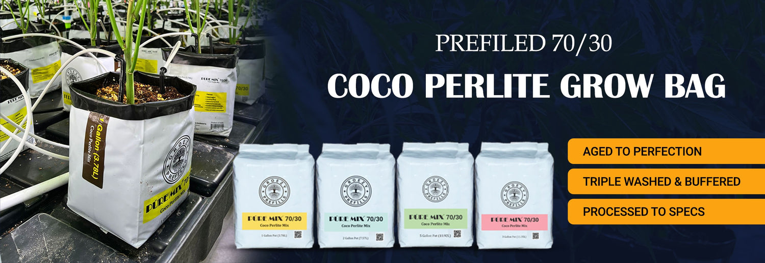 The Coco Depot - Home of premium coco products