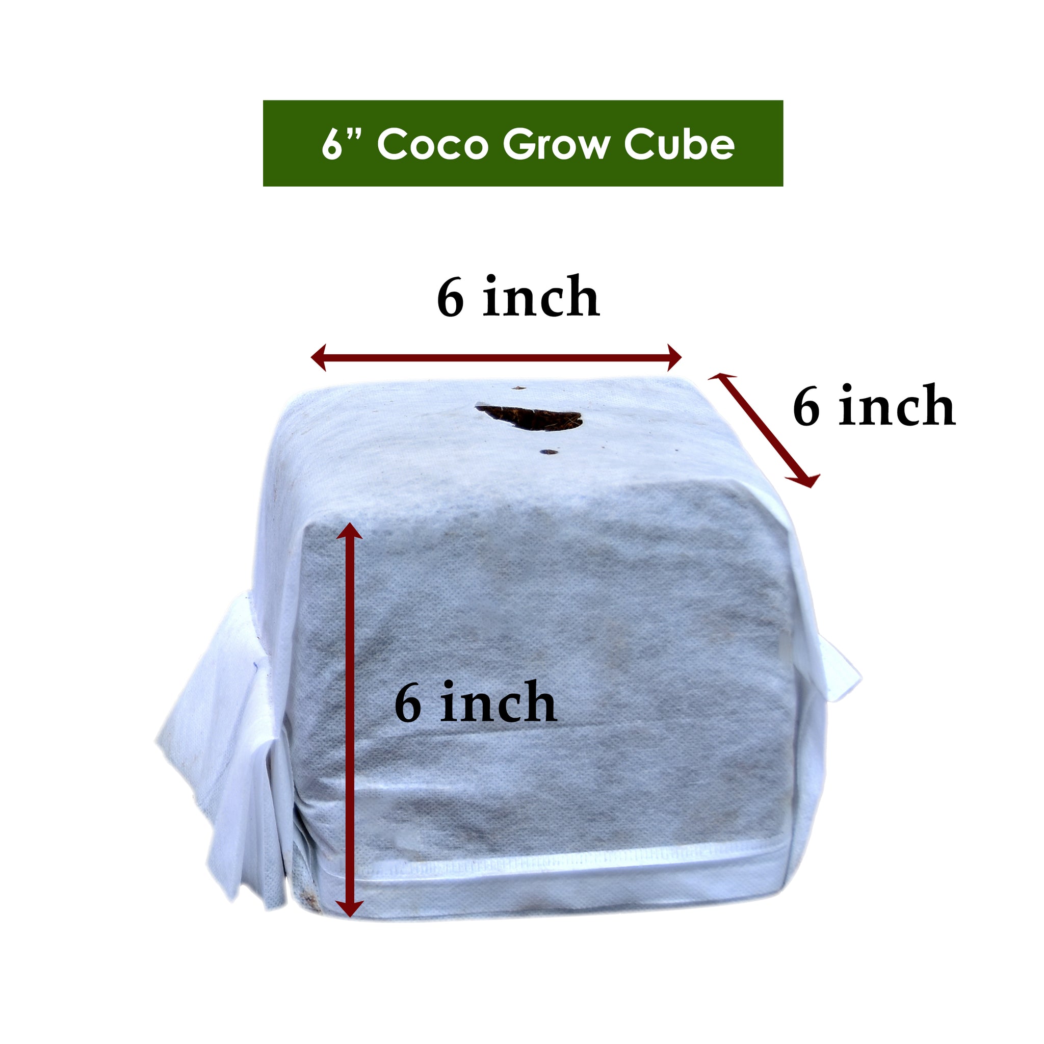 GroEzy™ 6" Coco Grow Cubes – The Coco Depot